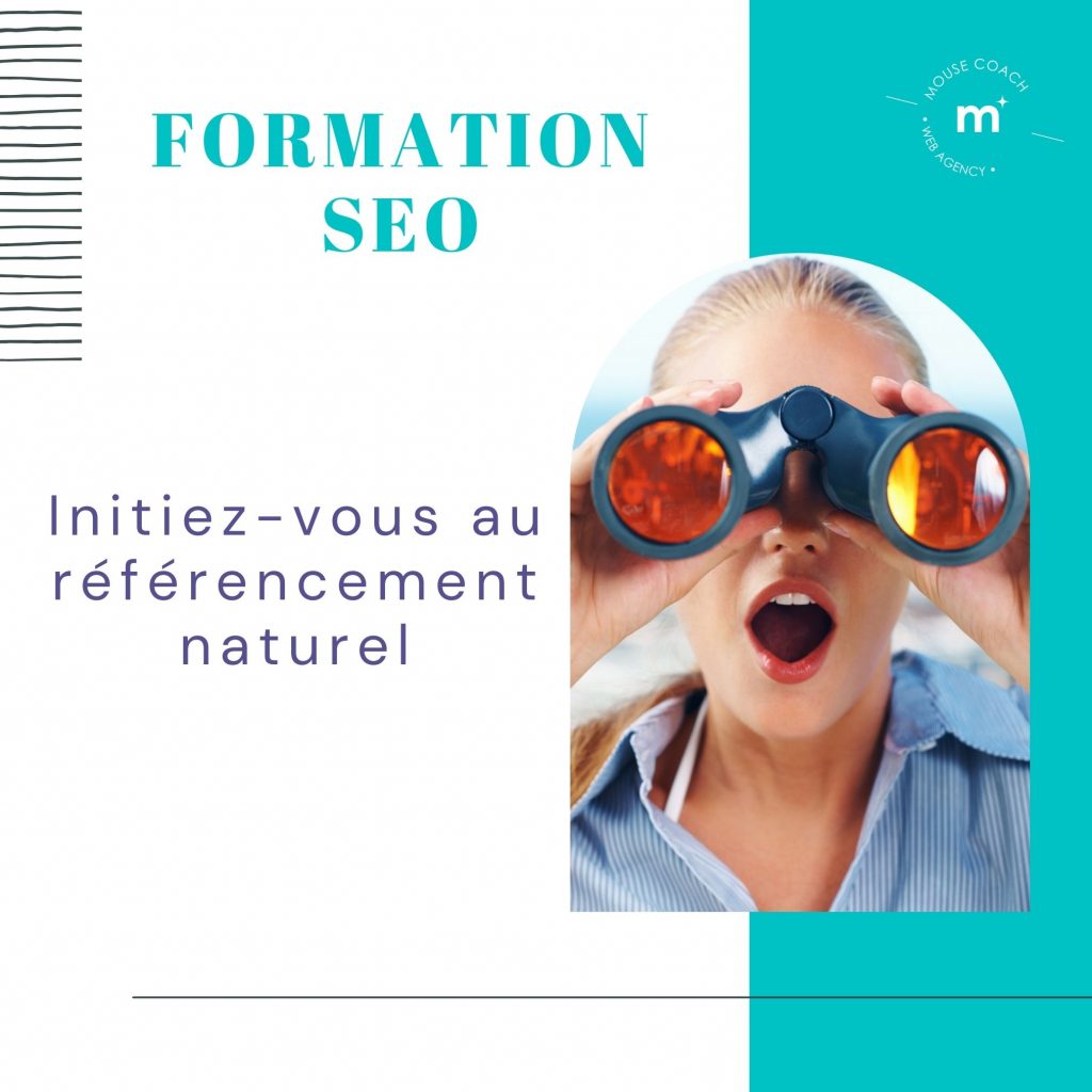 Formation initiation SEO (référencement naturel) | Mouse Coach